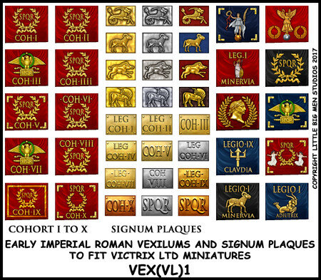 Early Imperial Roman Legionary Vexilum Transfers 1, 13,55