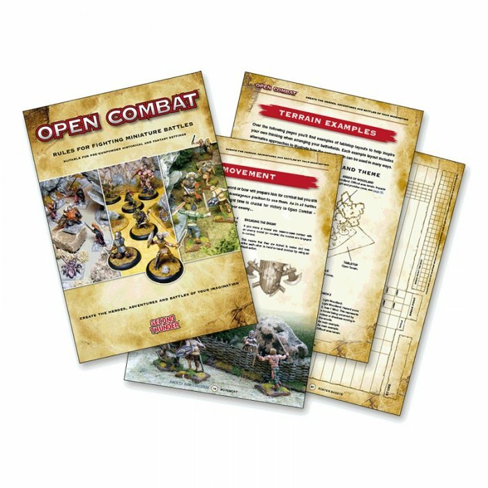 Lion Rampant: Second Edition: Medieval Wargaming Rules, 23,50