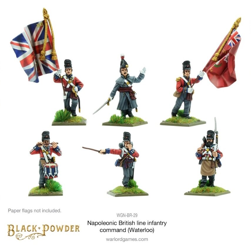 Napoleonic British Line Infantry Command (Waterloo), 17,00