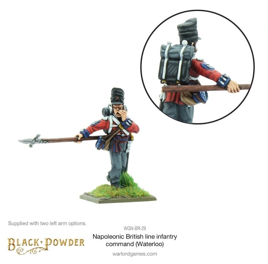 Napoleonic British Line Infantry Command (Waterloo), 17,00