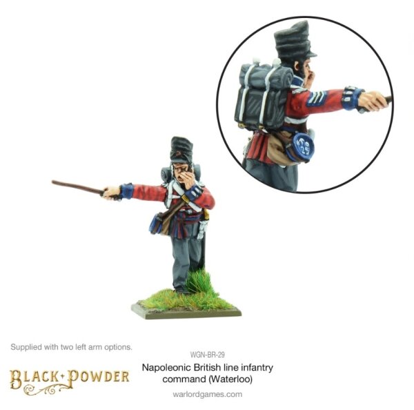 Napoleonic British Line Infantry Command (Waterloo), 17,00