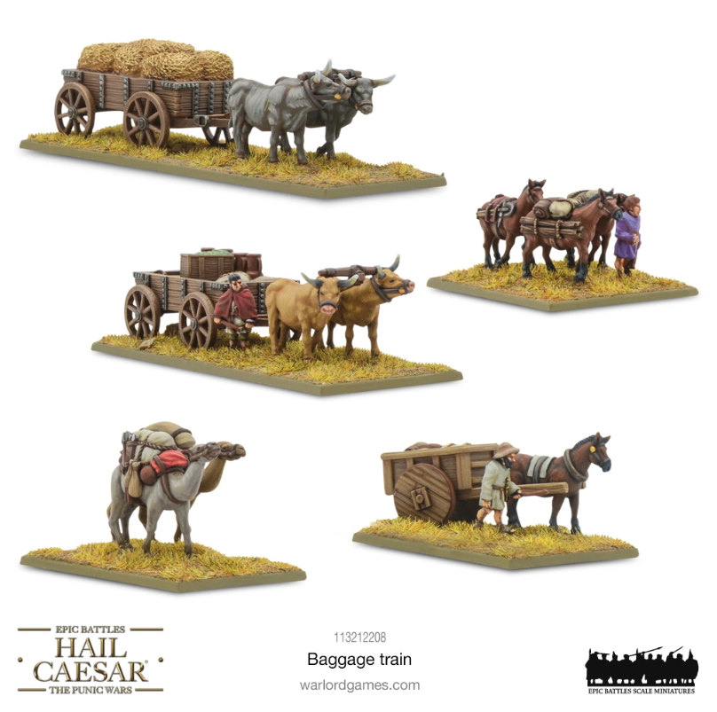 Hail Caesar Epic Battles: Baggage Train, 26,10